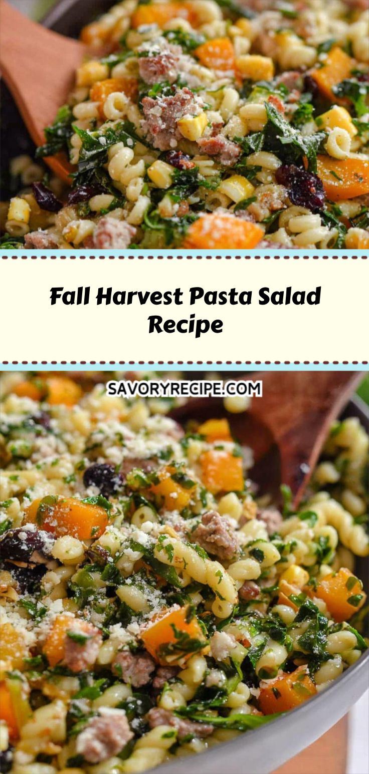 Cozy Fall Harvest Pasta Salad Recipe for Thanksgiving Gatherings ...